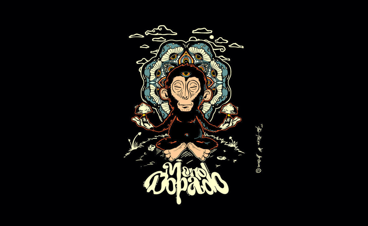 El Mono Dopado: Un viaje a la evolución humana a través de los hongos ...